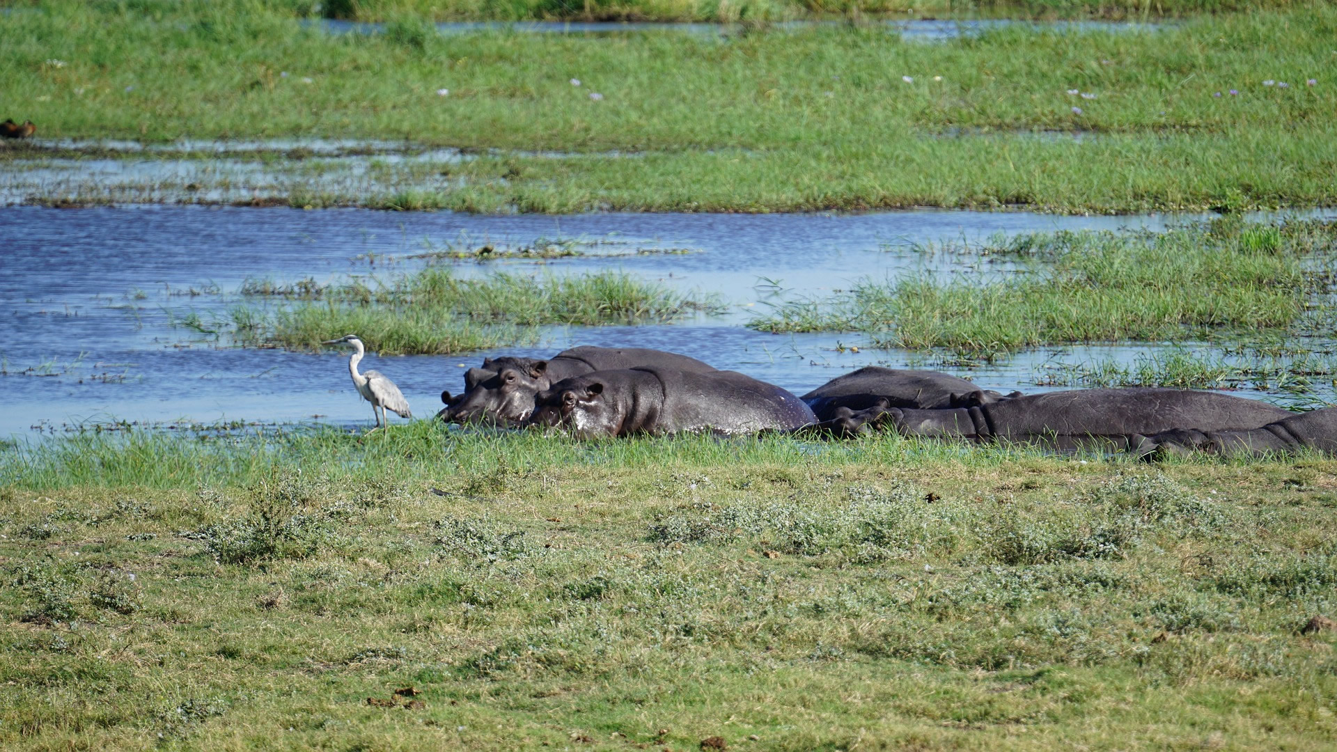 Oasis Travel / Viagem de 13 dias pela Namíbia, Zimbabwe & Botswana, em ...